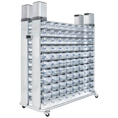 Innorack® IVC Mouse - NCE Lifesciences | Laboratory animal research ...